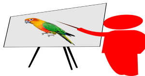 A History of Parrots – A Timeline – Long Island Parrot Society